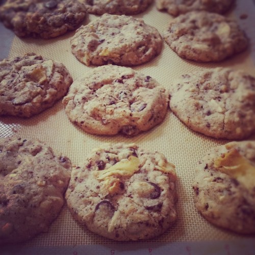 Gluten-Free Pork Rind Compost Cookies – A Recipe Swap | The Dusty Baker